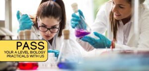 A Level Practical Biology - Exam Centre- AQA, OCR, Cambridge, WJEC, Edexcel